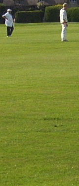 Cricket Wicket Management