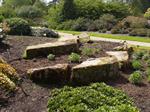 Building A Feature Rockery -Study, Learn Garden Design at home