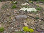 Building A Feature Rockery -Study, Learn Garden Design at home
